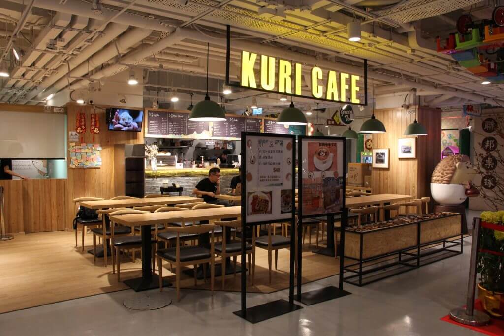 Animal cafes in Hong Kong: welfare experts call for licensing – The ...