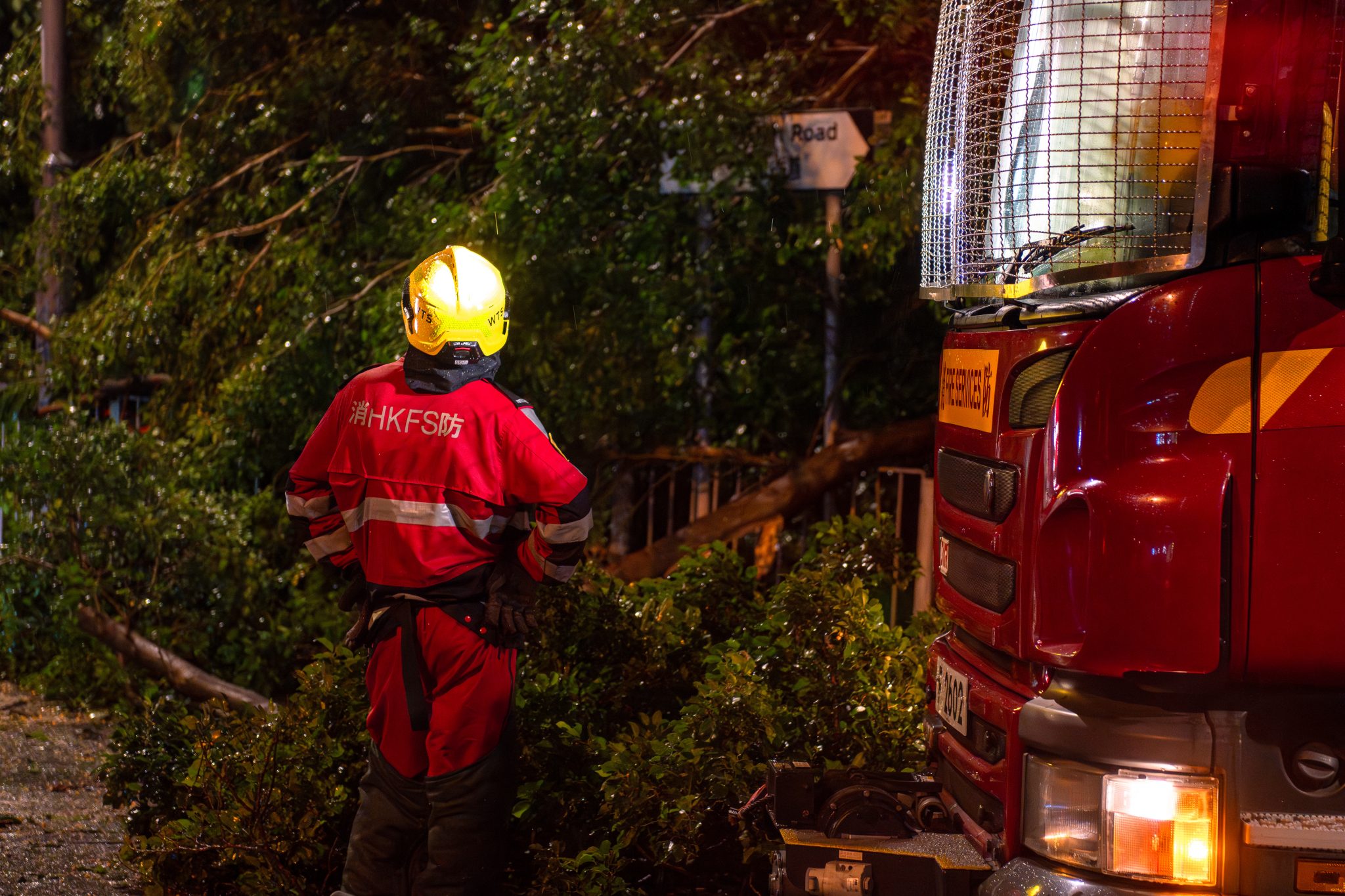 Typhoon Ragasa: Windthrown trees blocked several roads in Wong Tai Sin ...