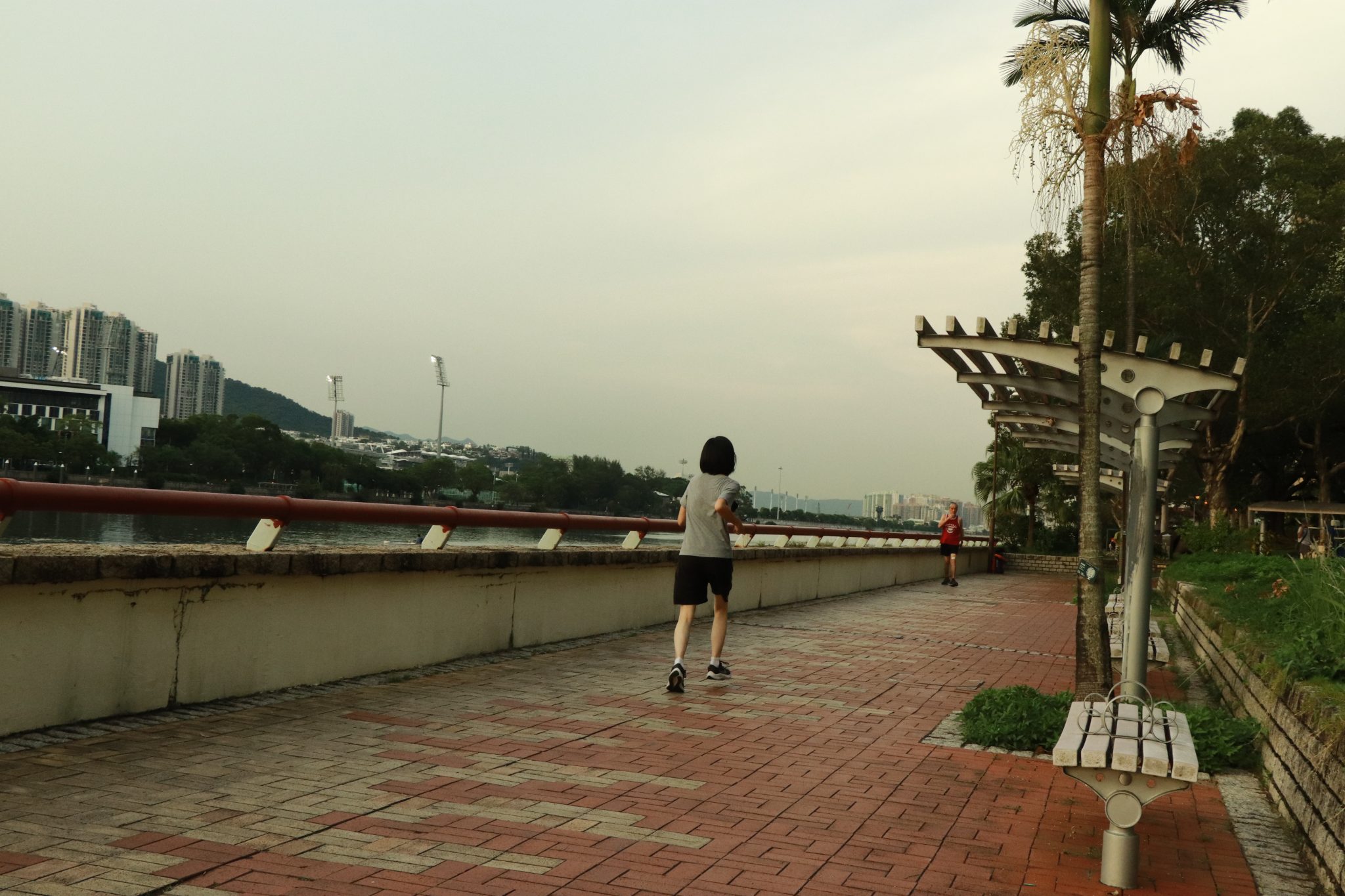 Shatin hostel scramble, housing quagmire under Hong Kong’s policy of ...